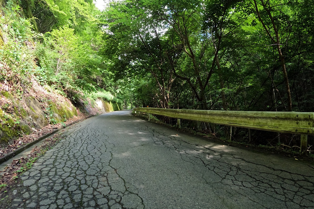 CTL一桁で挑む、”18th Attack!299″ | はるそめロードバイク日記